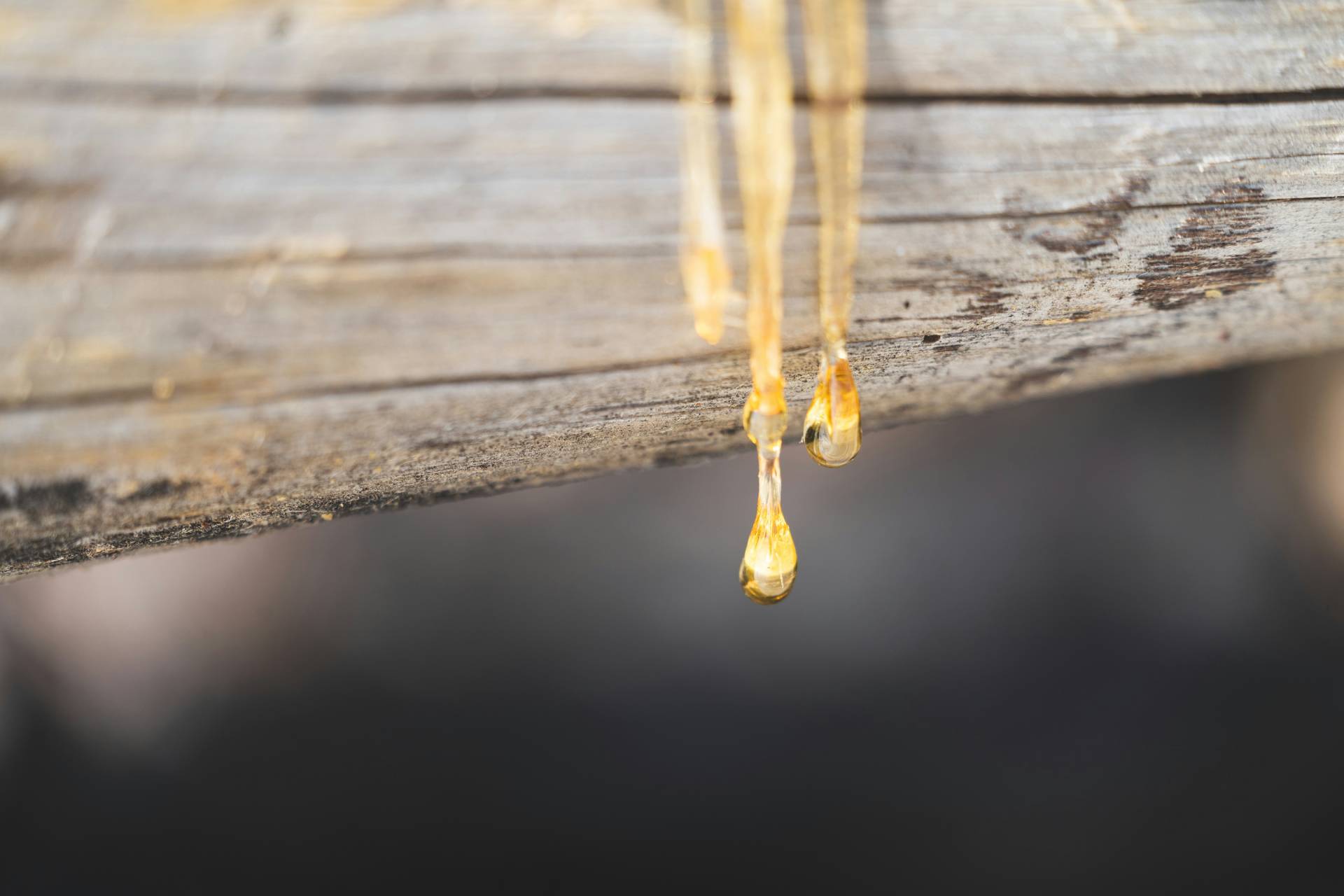 industries - Remik Group